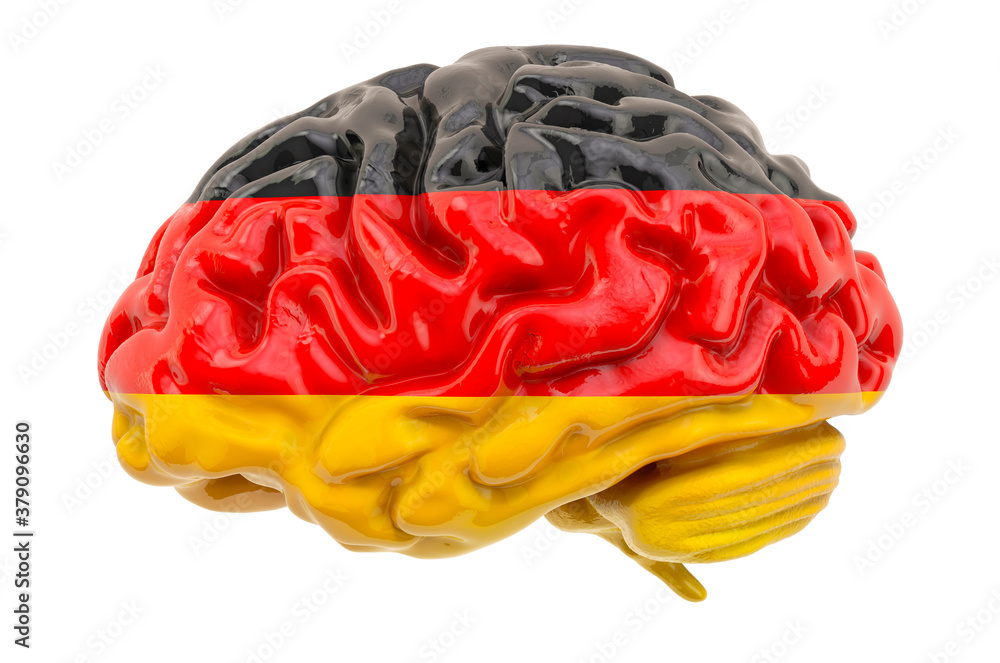 Human brain with German flag. Scientific research and education in ...