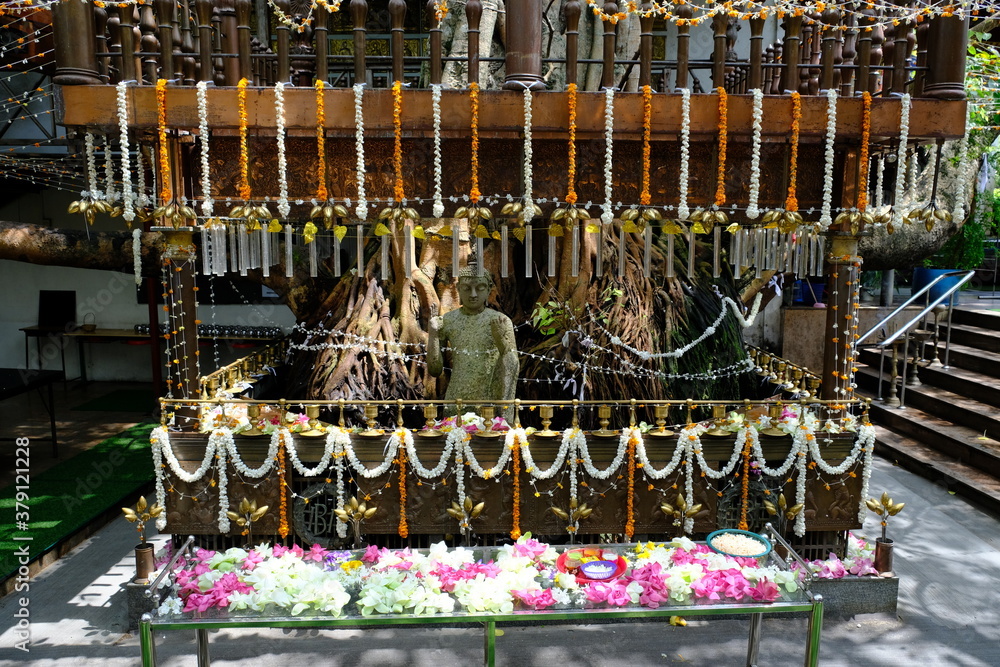Sri Lanka Colombo - Bodhi Tree or Tree of awakening in Gangaramaya ...