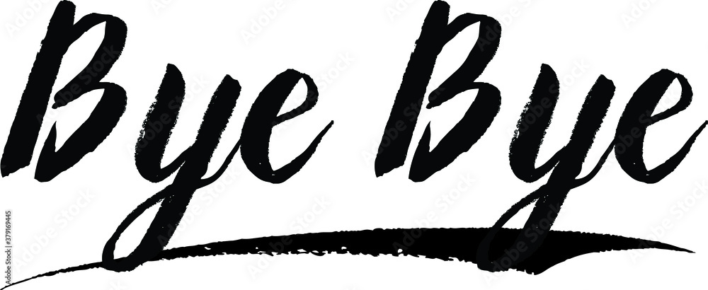 Bye Bye Handwritten Typography Black Color Text On White Background ...