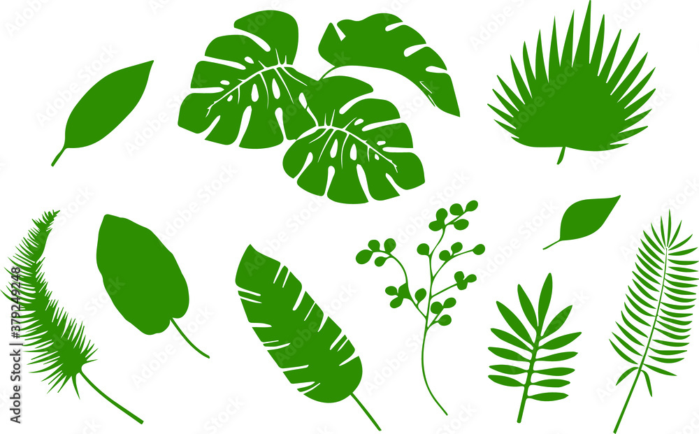 Vector set of tropical green palm leaves isolated on white background ...