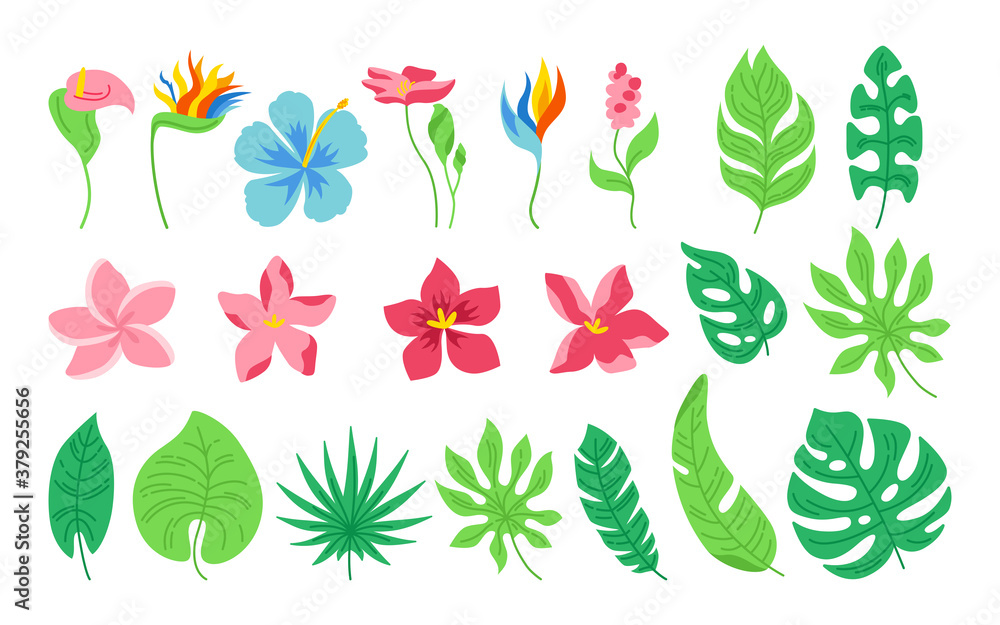 Exotic leaves and flowers cartoon set. Tropical abstract floral flat ...