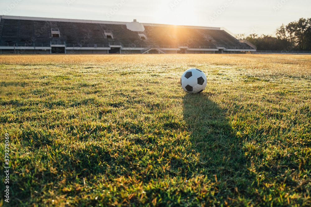 Beautiful view of classic leather soccer ball on green grass field in ...