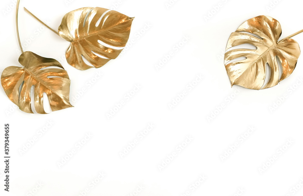 Gold monstera leaves frame isolated on a white background banner. top ...