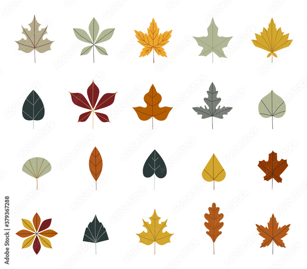 Set of colorful autumn leaves. Simple cartoon flat style. vector ...