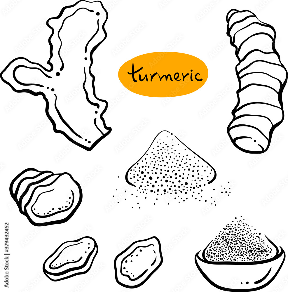 Turmeric, curcuma. Roots and slices. Black line sketch collection of ...
