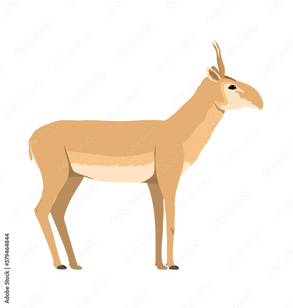 Saiga tatarica - Saiga antelope Male - Side view - Flat vector Isolated ...