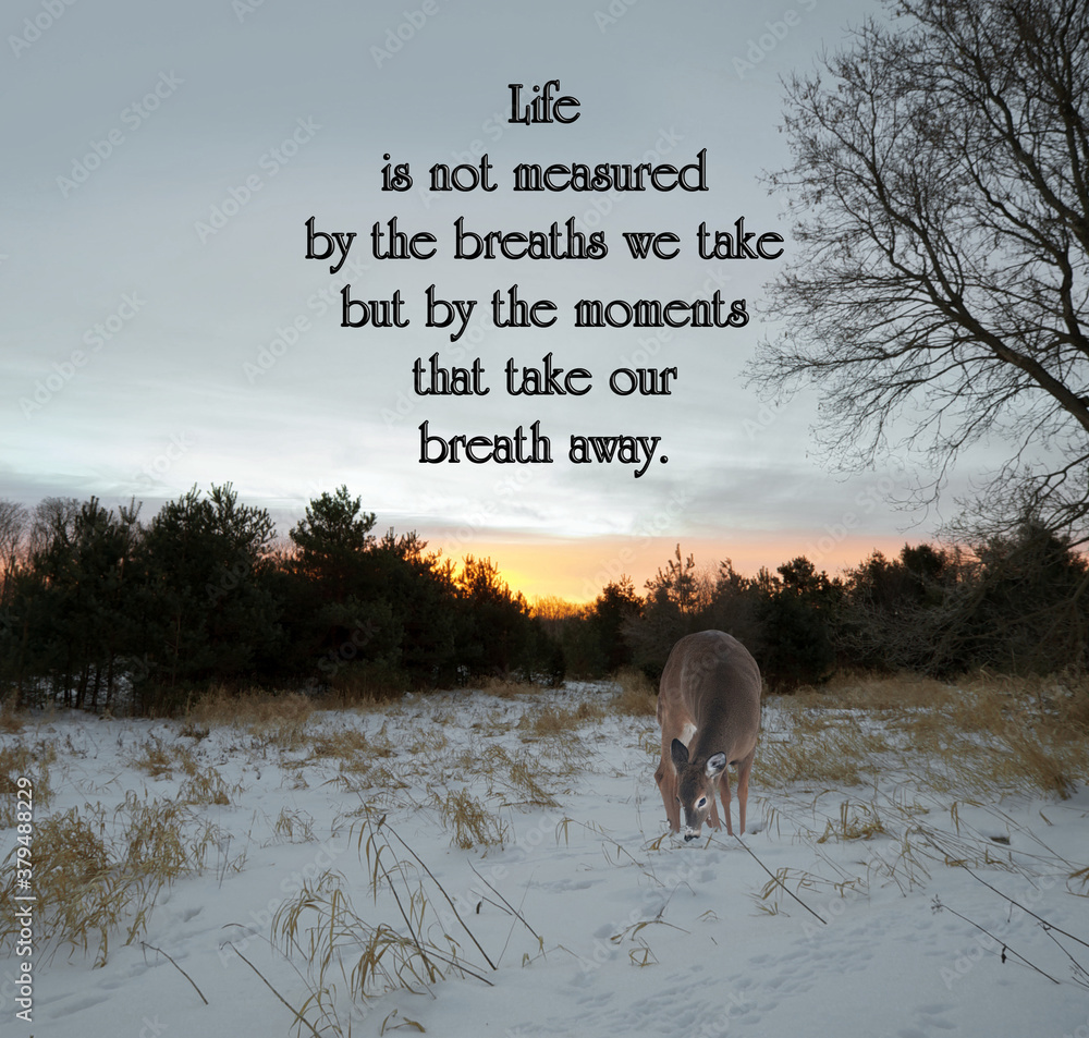 Motivational, inspirational quote on life. Stock Photo | Adobe Stock