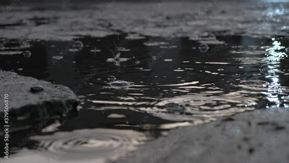 Video Stock autumn rain, puddle on road. Drops of rain water fall into ...