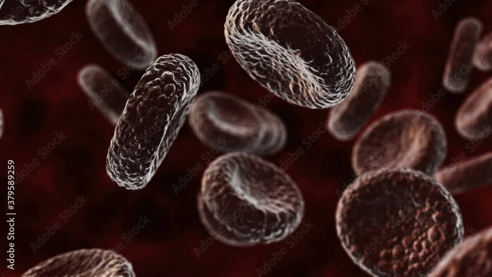 Dead Red blood cells in an artery - 3D animation. Flow inside body ...