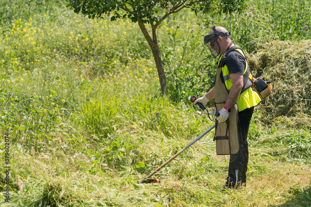 Man carrying out brushcutting tasks with personal protective equipment ...
