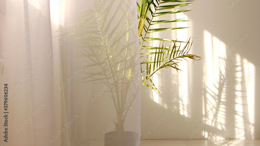 Morning sun lighting the room, shadow background overlays. Transparent ...