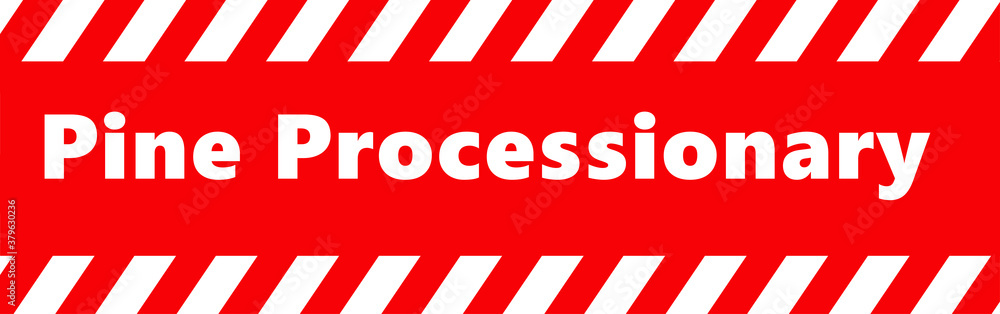 Stop Pine or Oak processionary marching Caterpillar moth Waring ...