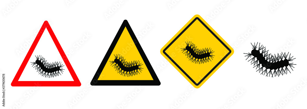 Stop Pine or Oak processionary marching Caterpillar moth Waring ...