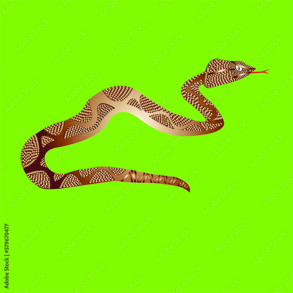 serpiente mapanare nombre cientifico bothrops atrox serpiente venenosa ...