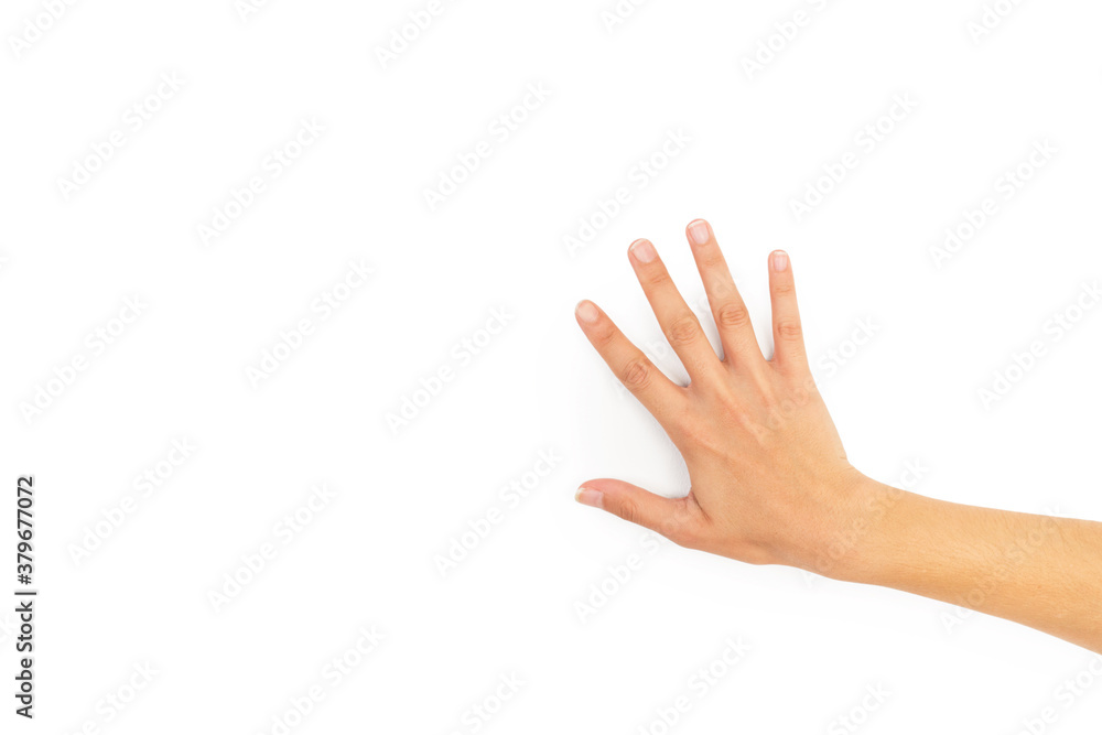 Foto de Mano femenina abierta sobre fondo blanco liso y aislado. Vista ...