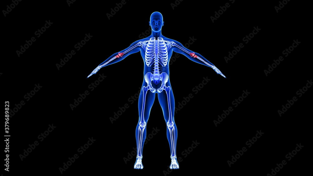 Elbow Pain. Blue Human Anatomy Body 3D Scan render on black background ...
