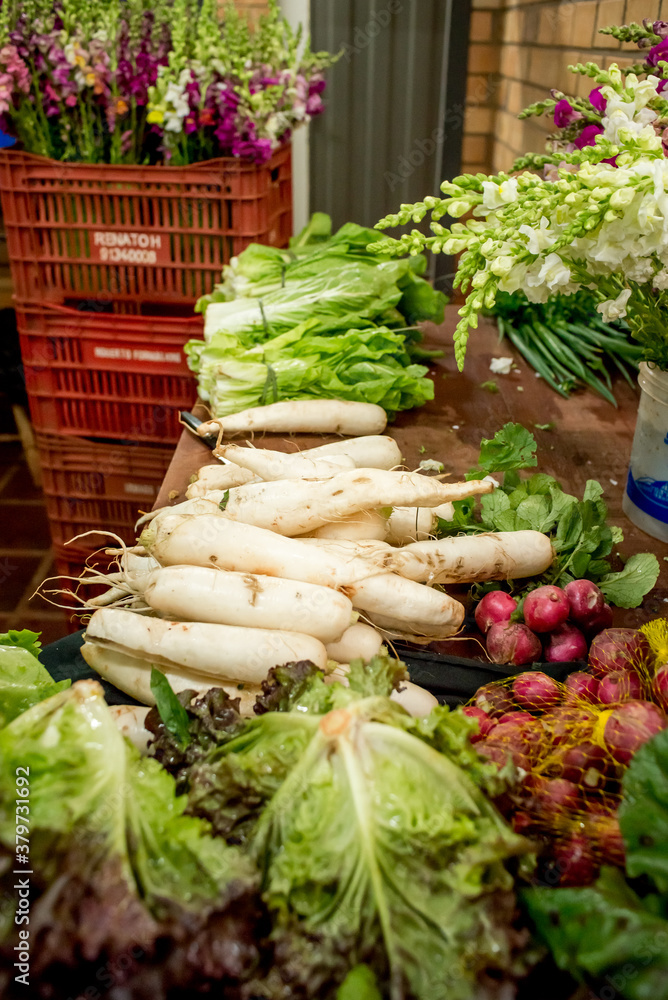 Verduras Stock Photo | Adobe Stock