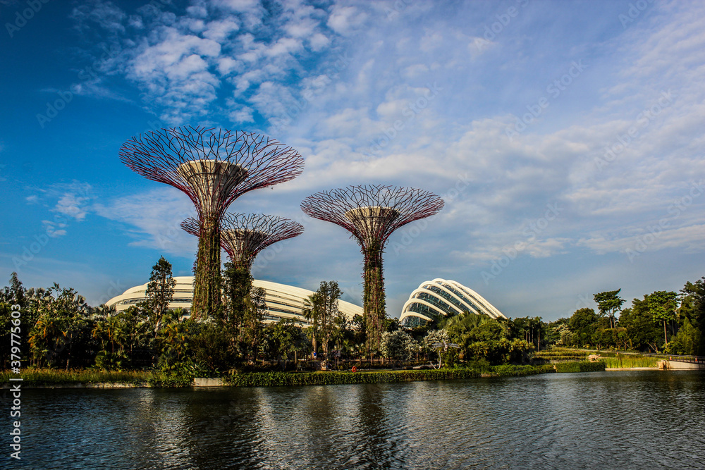 Flower Dome and Cloud Forest, Singapore Garden by the Bay Super tree ...