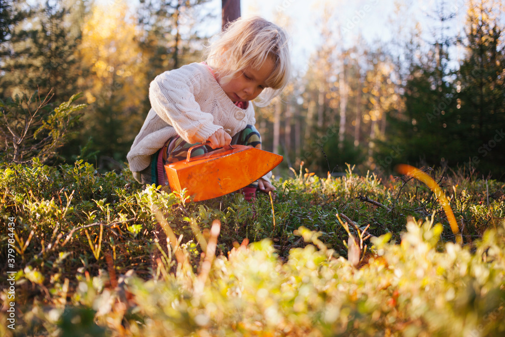 Little girl in the forest is gathering berries. Stock Photo | Adobe Stock