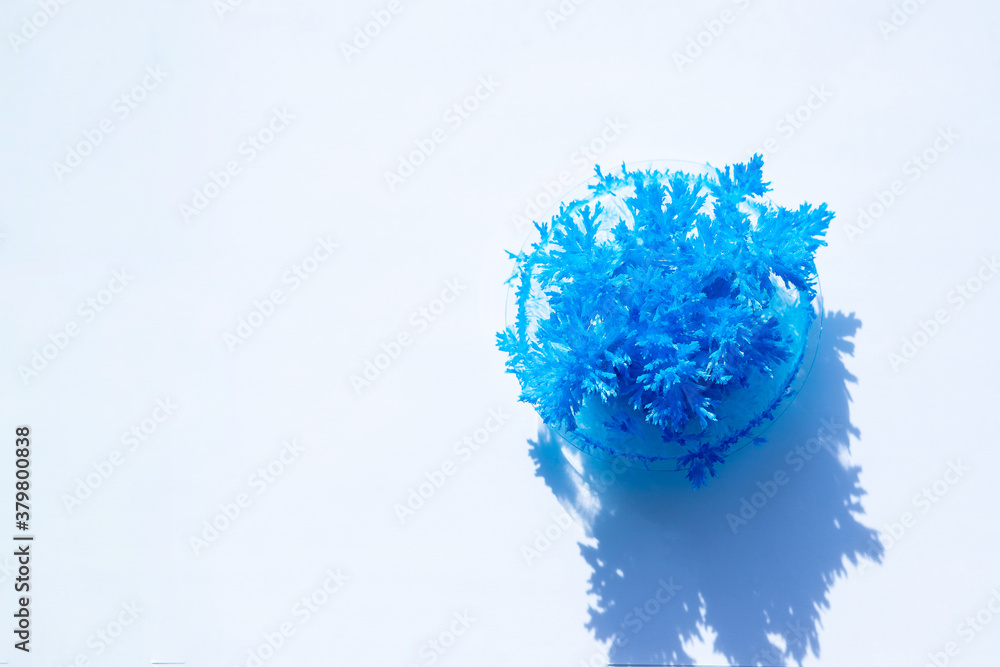 blue chemical crystals forming. needle like Urea crystals ,carbamide ...