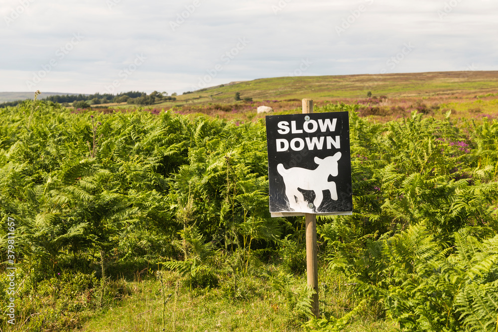 Slow down traffic sign in english countryside Stock Photo | Adobe Stock