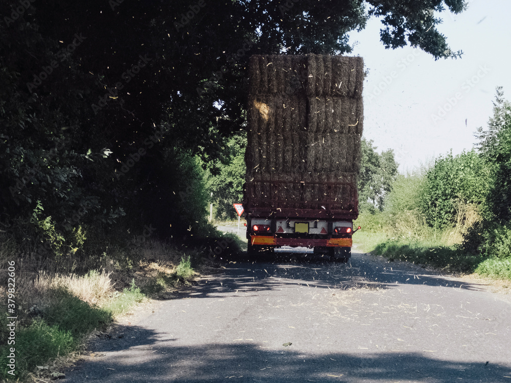 Straw falling off a lorry transporting straw bales along a narro Stock ...