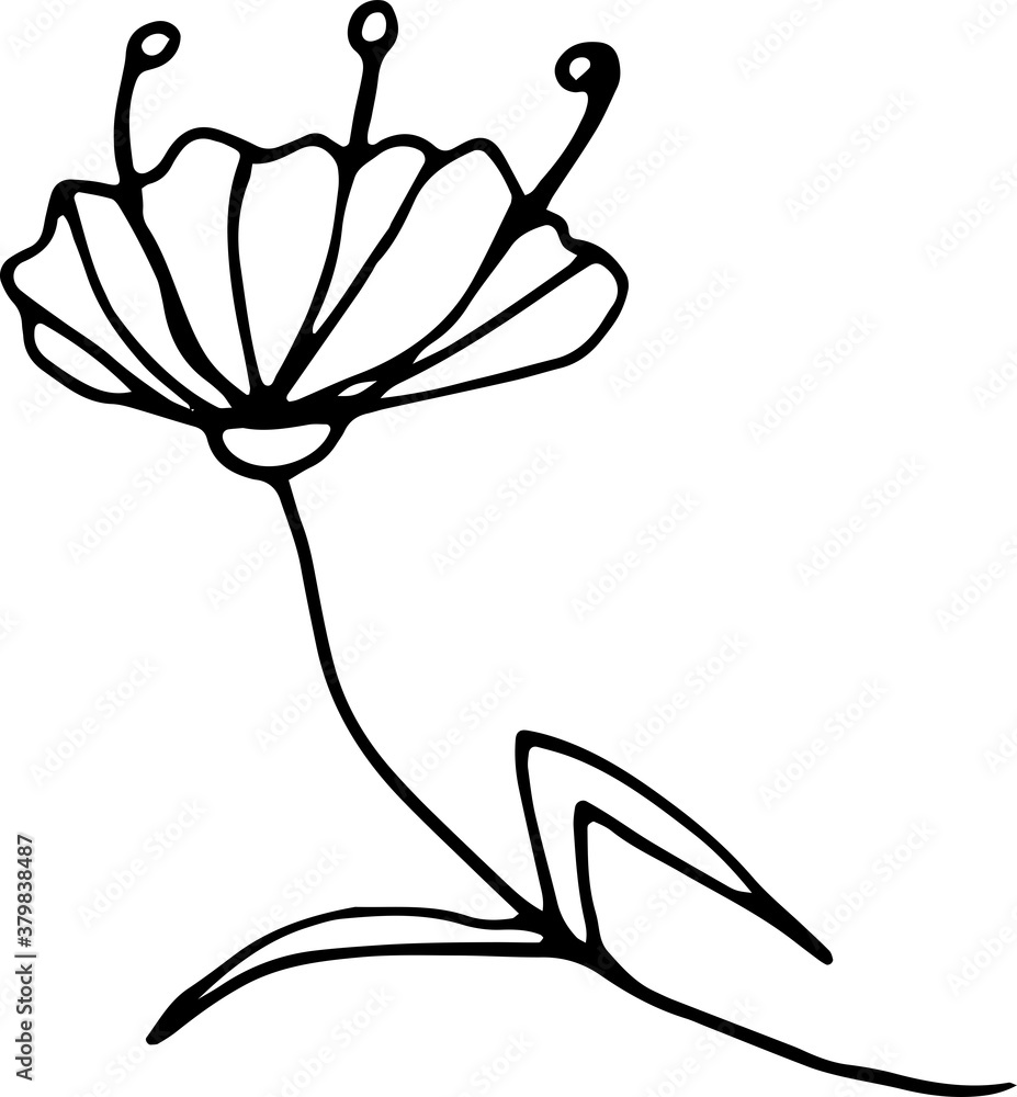Cute single elegant flower with petals and stamens hand drawn in vector ...