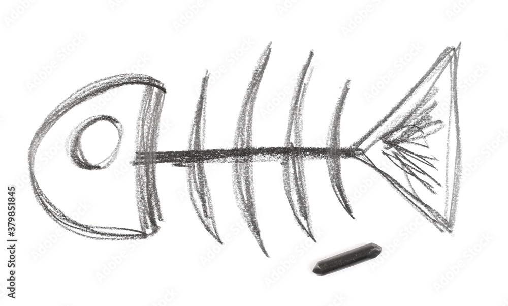 Graphite stick with fish bones skeleton doodle hatching, sketching ...