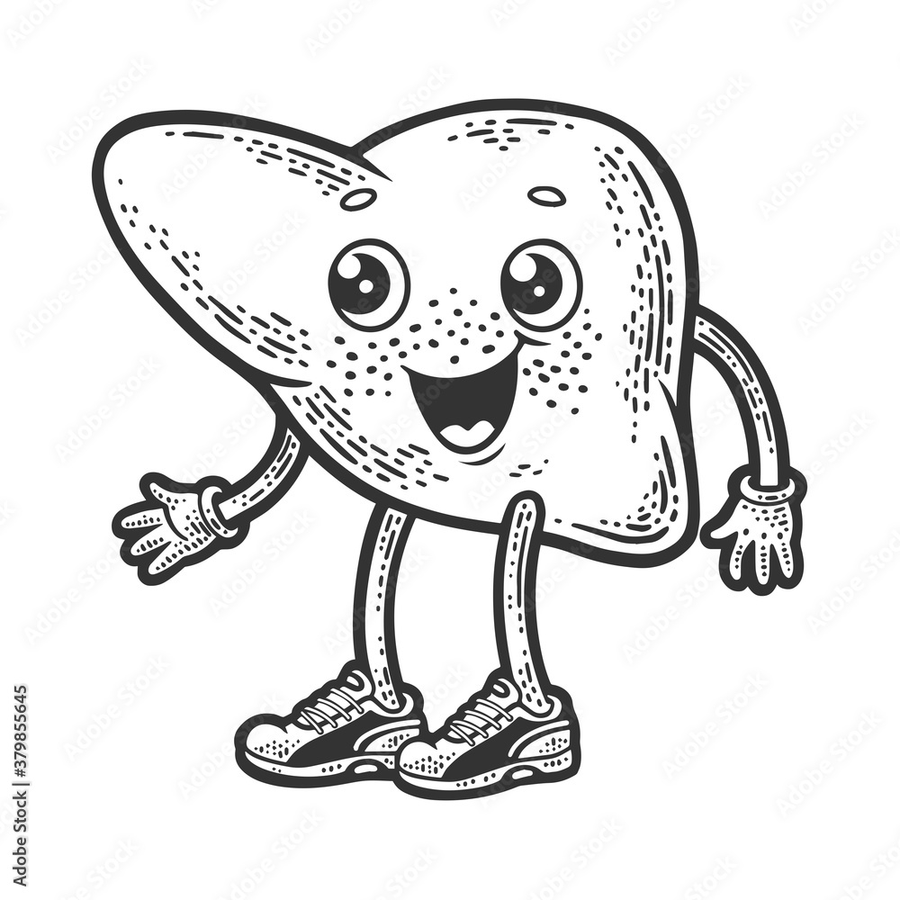 cartoon liver sketch engraving vector illustration. T-shirt apparel ...