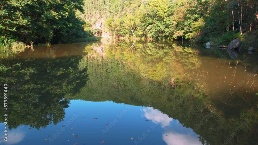 Graded shot of the beautiful pond in a forest with reflections on a ...