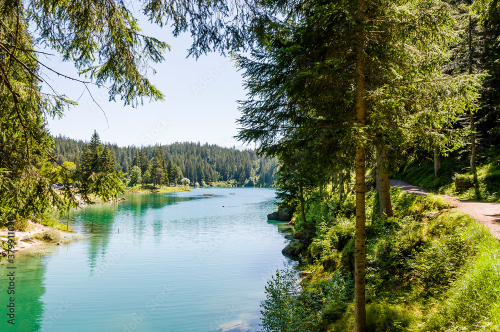 Foto de Caumasee, Lag la Cauma, Lai da Cauma, Bergsee, Badesee, Flims ...