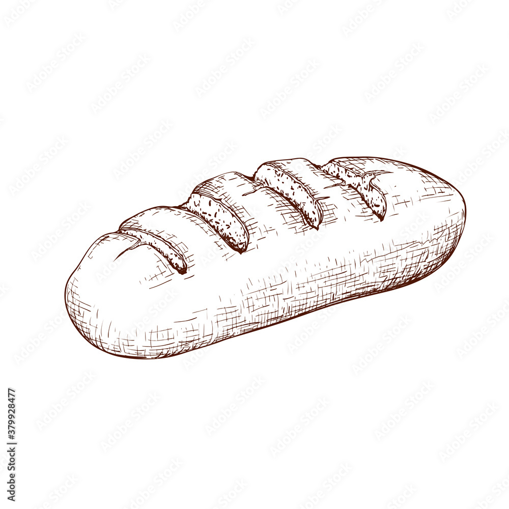 ink drawn wheat bread isolated on white background. traditional long ...