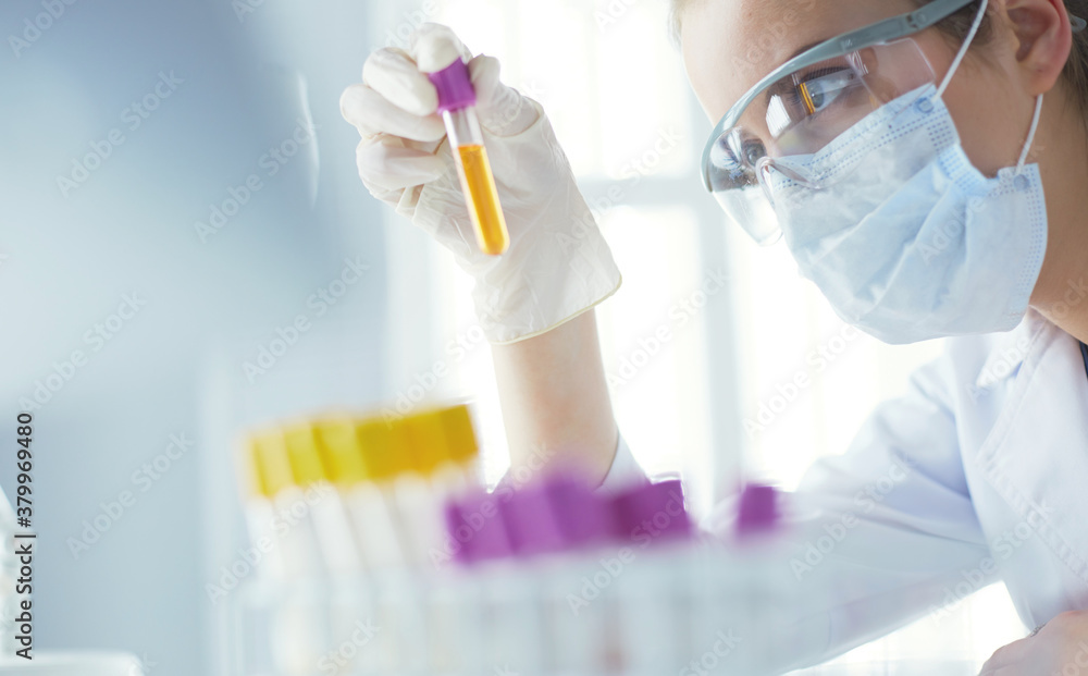 Researcher, doctor, scientist or laboratory assistant working with ...