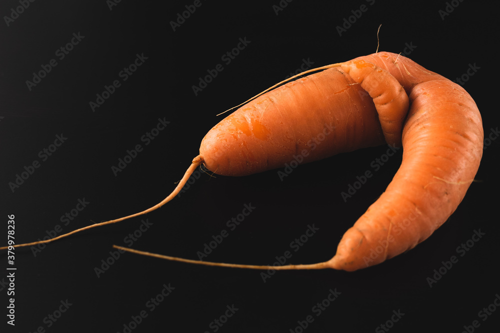 Ugly carrot on a black background. Funny, unnormal vegetable or food ...