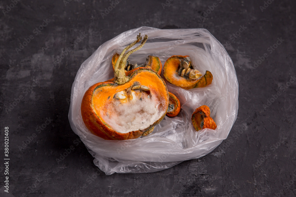 Rotten pumpkin. Mold on food. Food waste in a plastic bag Stock Photo ...
