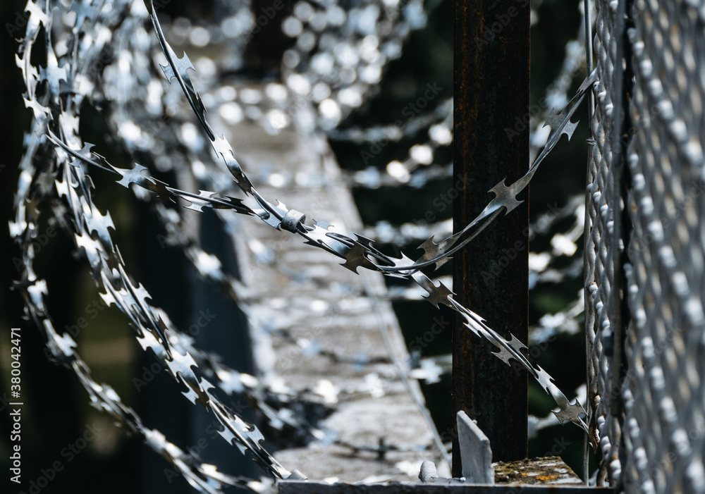 Barbed wire close up Stock Photo | Adobe Stock