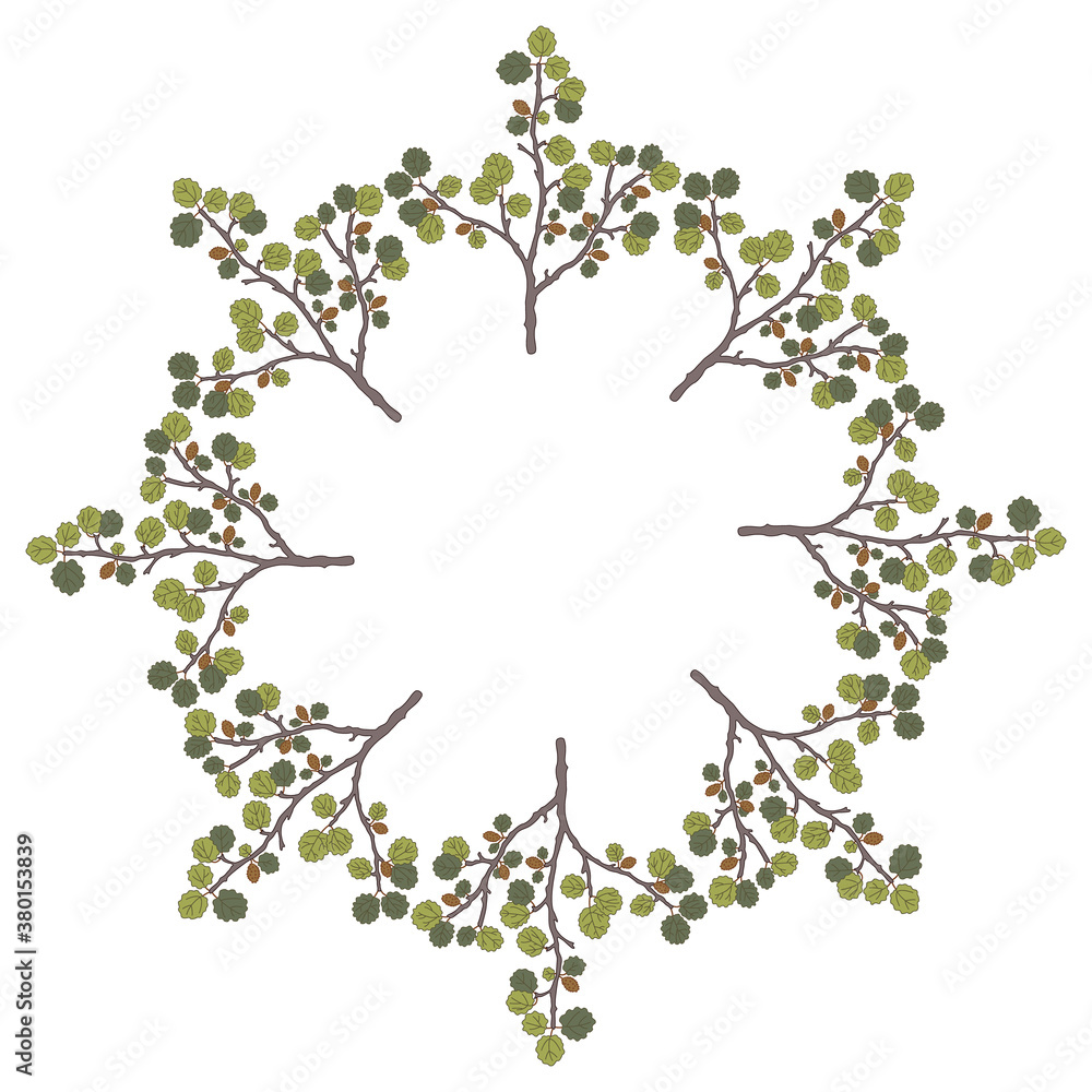 Round floral frame with branches of dwarf birch tree with leaves and ...