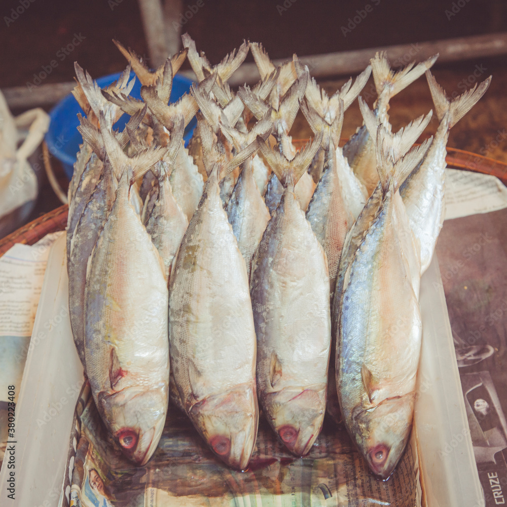 Fish Stock Photo | Adobe Stock