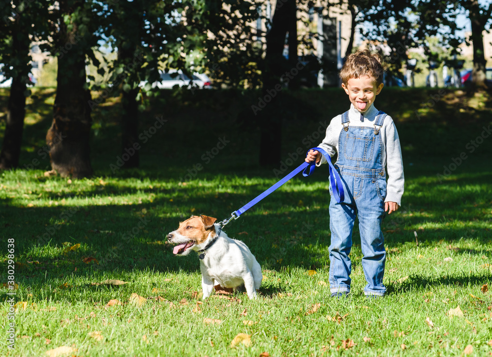 Amusing kid boy copying and teasing dog with sticking out tongue Stock ...