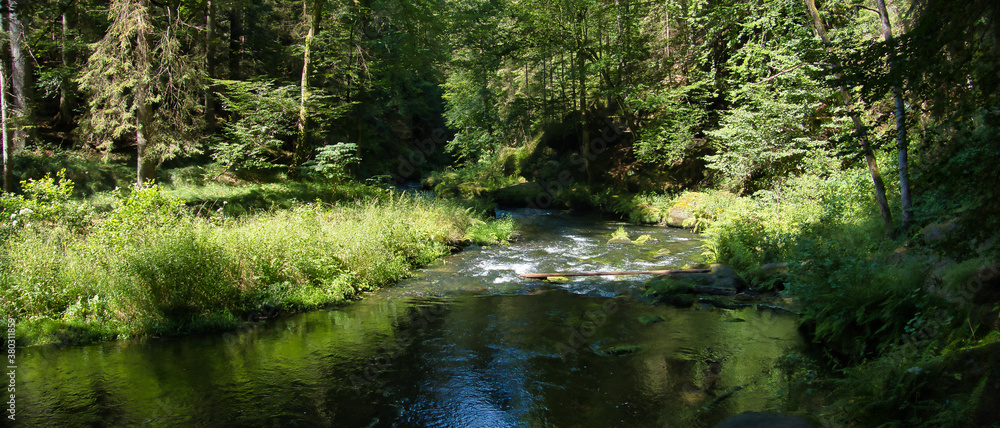 RZEKA W GÓRACH. CZESKA SZWAJCARIA, WĄWÓZ EDMUNDA, REPUBLIKA CZESKA ...
