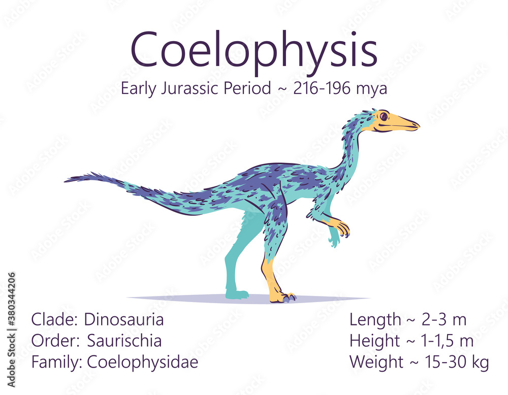 Coelophysis. Theropoda dinosaur. Colorful vector illustration of ...