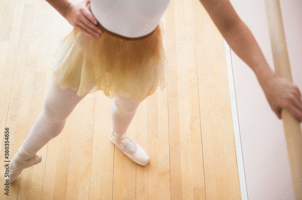 Portrait of teenage (16-17) ballet dancer standing in ballet position ...