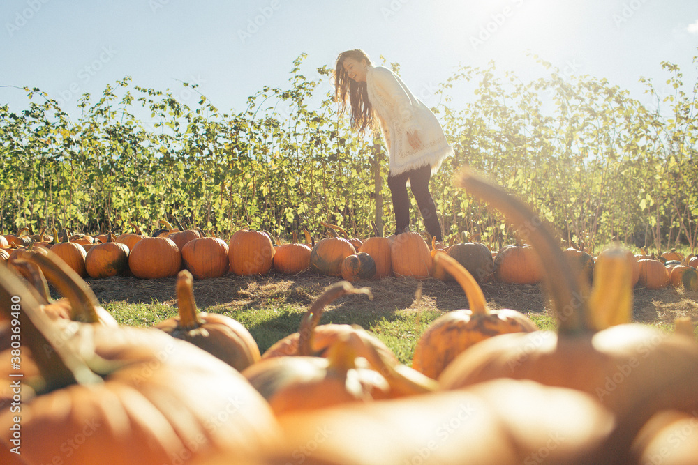Youthful woman steps among a pumpkin patch on a farm Stock Photo ...