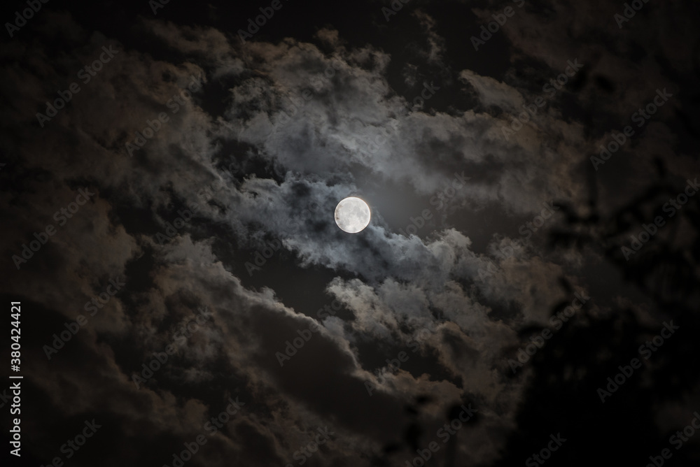 Scary Foggy Moon