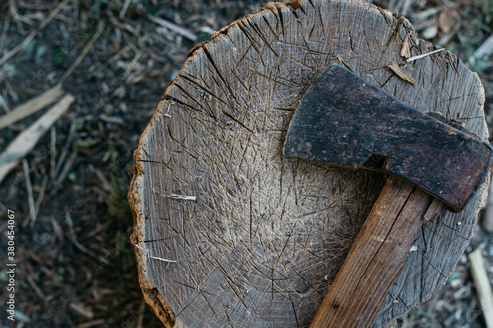 Old hatchet on a tree stump Stock Photo | Adobe Stock