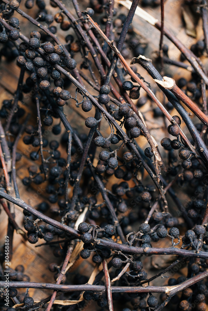 Himalayan spice known as Timur/Tejpal/Sichuan pepper Stock Photo ...