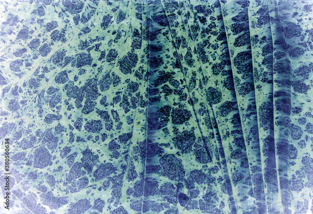 Ebru art. Traditional Turkish Ebru technique. Painting on water ...