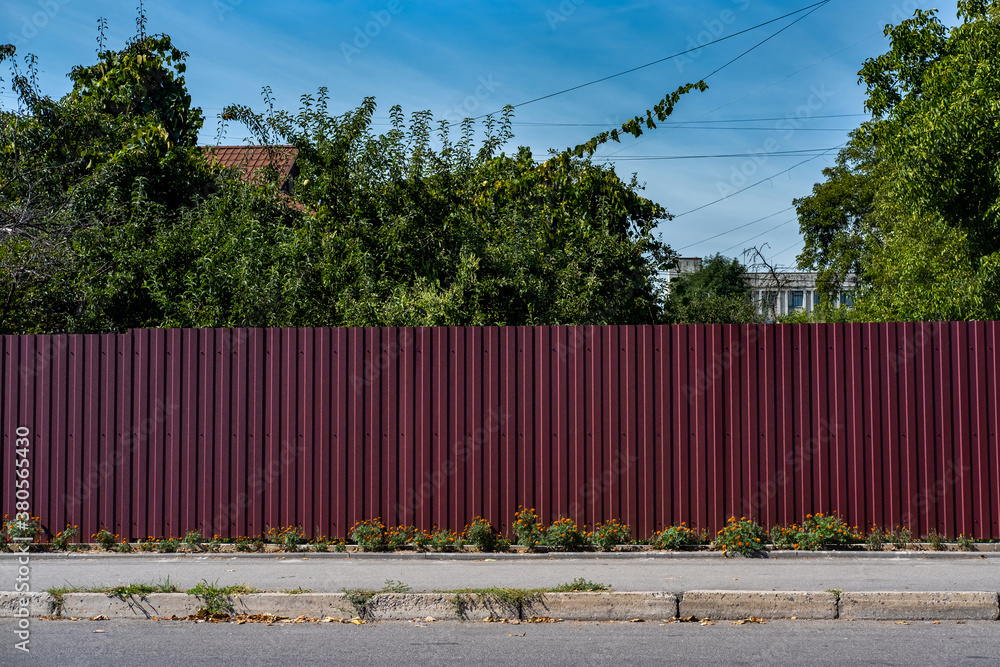 Red metal corrugated fence around the green garden. The texture of the ...