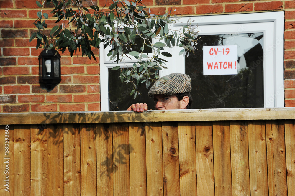 Nosy neighbor peeking over the fence, spying on his neighbours during ...