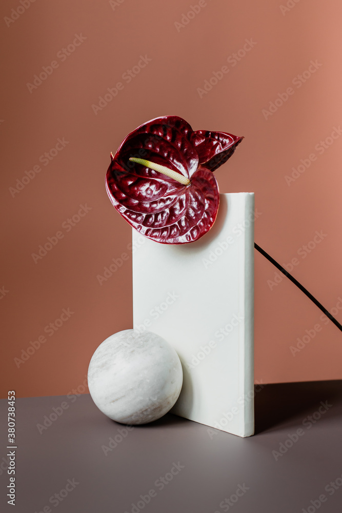 Abstract still life Stock Photo | Adobe Stock
